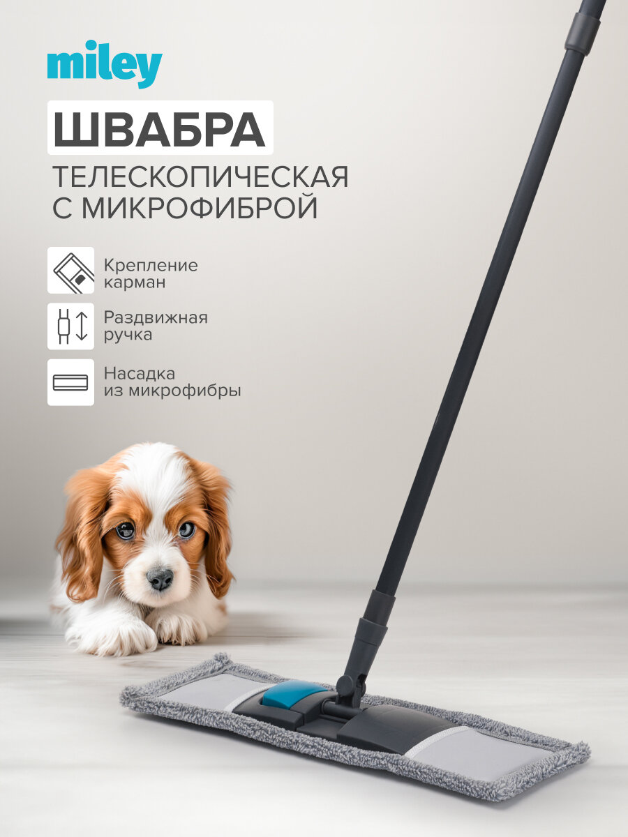 Швабра для пола с насадкой из микрофибры Miley (цвет: графит), в коробке