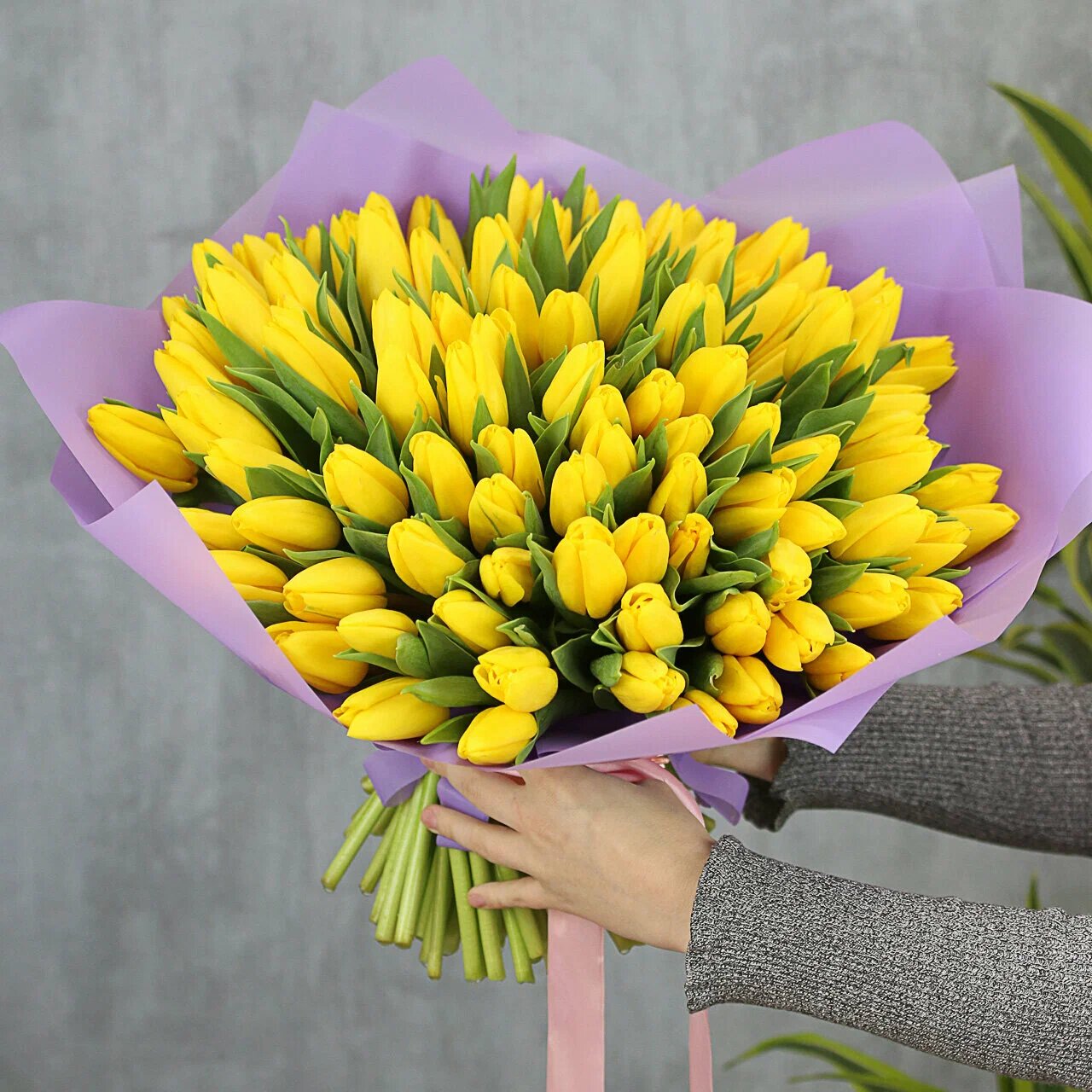 Тюльпаны/ Желтые тюльпаны букет 77 штук/ Тюльпаны с доставкой по Москве/ Цветы к 8 марта