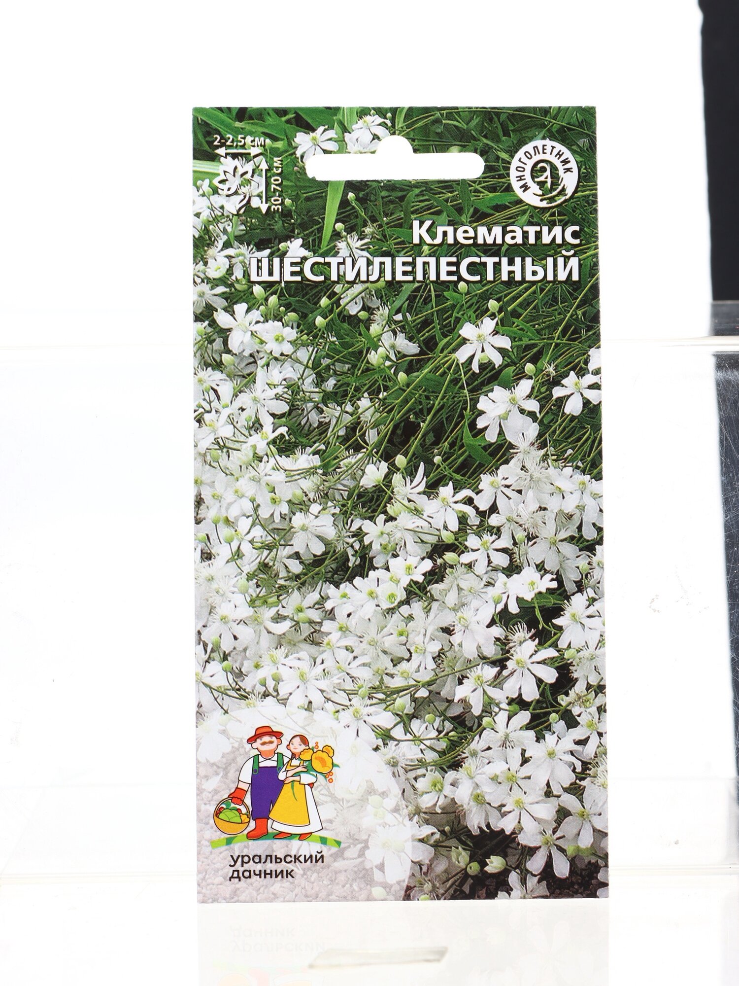 Семена Цветы Клематис Шестилепеcтный (УД) Е/П , Е/П, 10 шт. 10965002