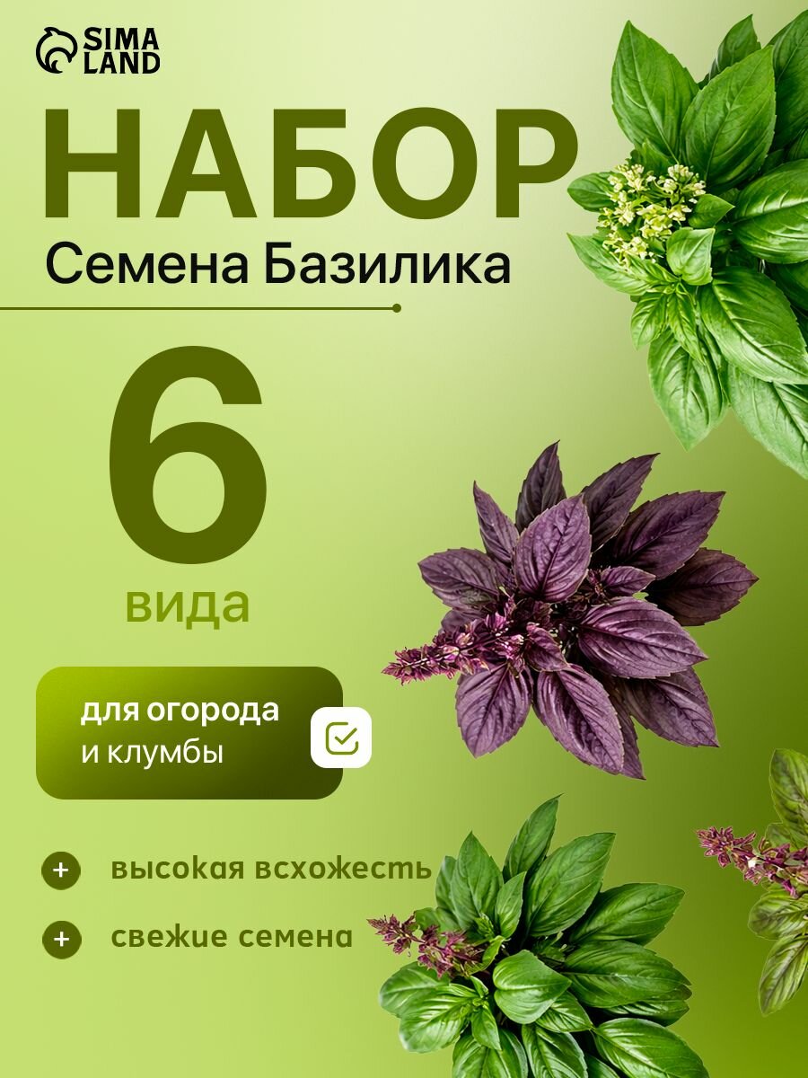 Базилик / семена 6 сортов