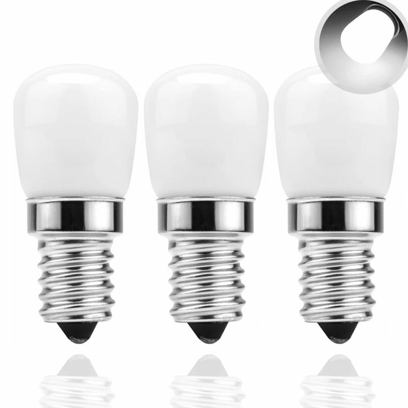 Light Bulb