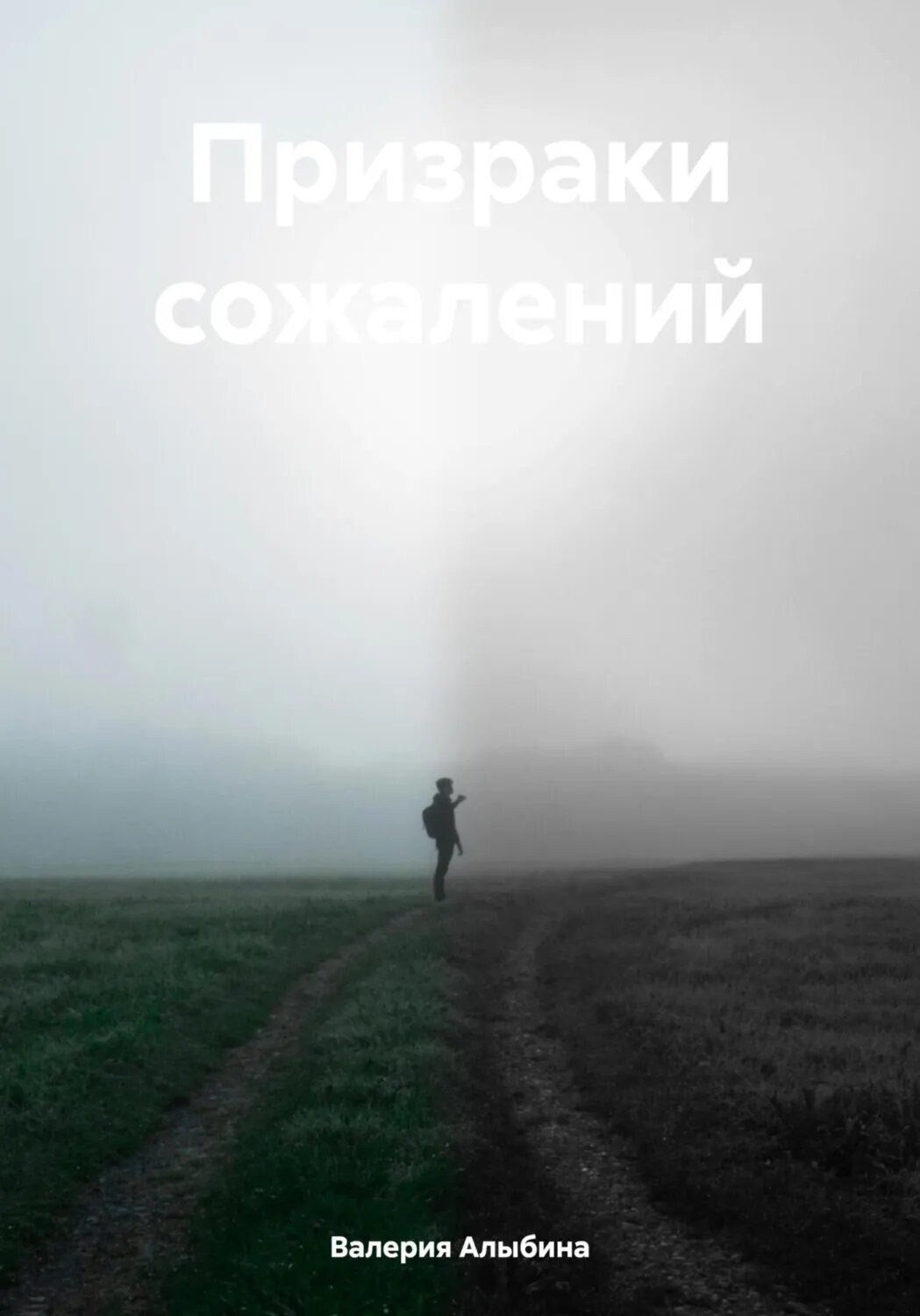 Призраки сожалений [Цифровая книга]