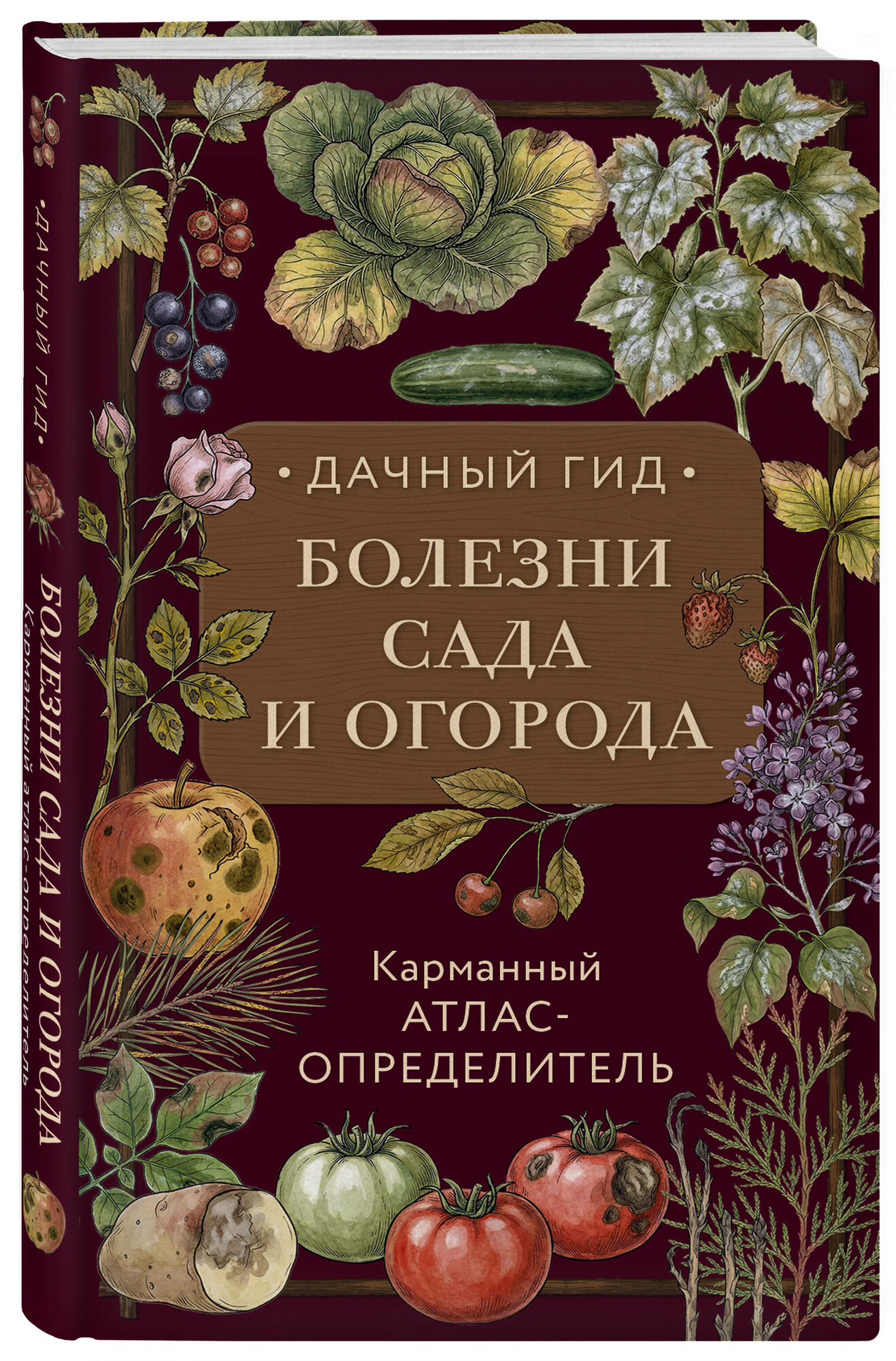 Ирина Яблонева. Болезни сада и огорода. Карманный атлас-определитель