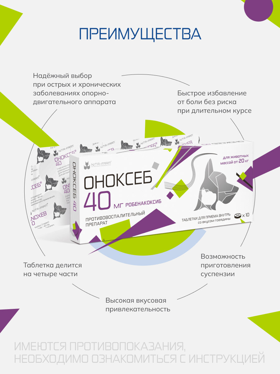 Таблетки Оноксеб, для кошек и собак, противовоспалительные, 40мг, 10 шт в уп. — фото 1
