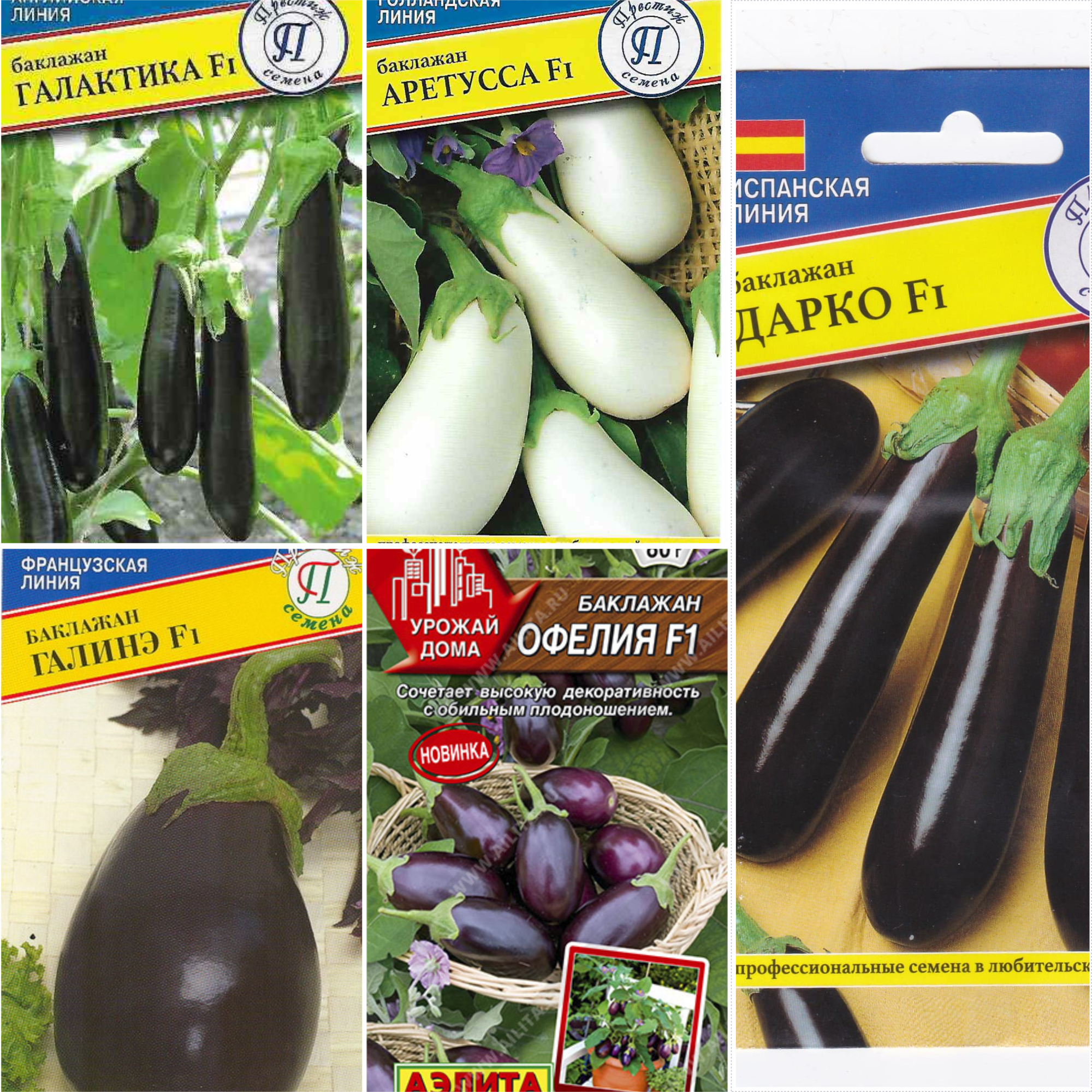 Набор семян баклажана "Супергибриды"(Аретусса F1, Галактика F1, Галинэ F1, Дарко F1, Офелия F1)