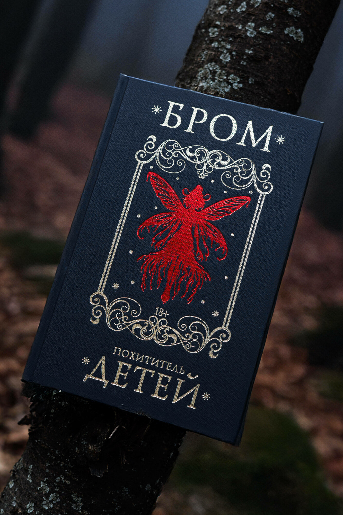 Похититель детей — фото 1