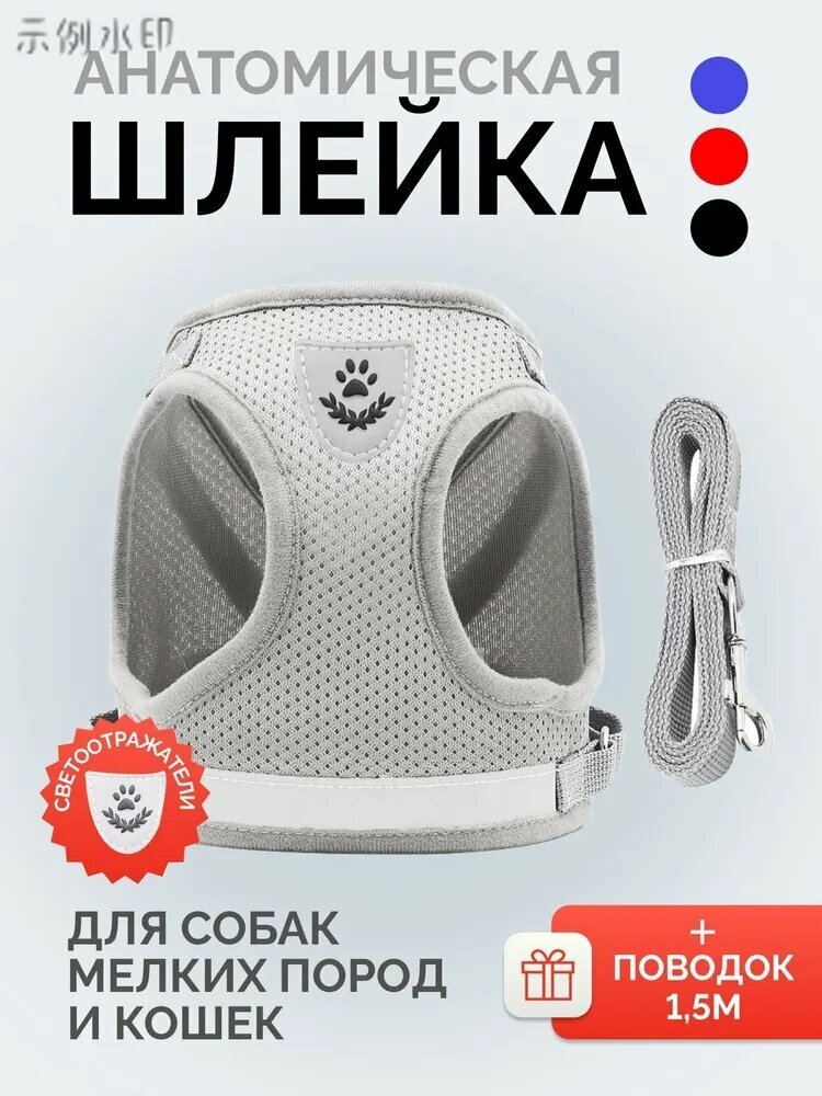 Шлейка