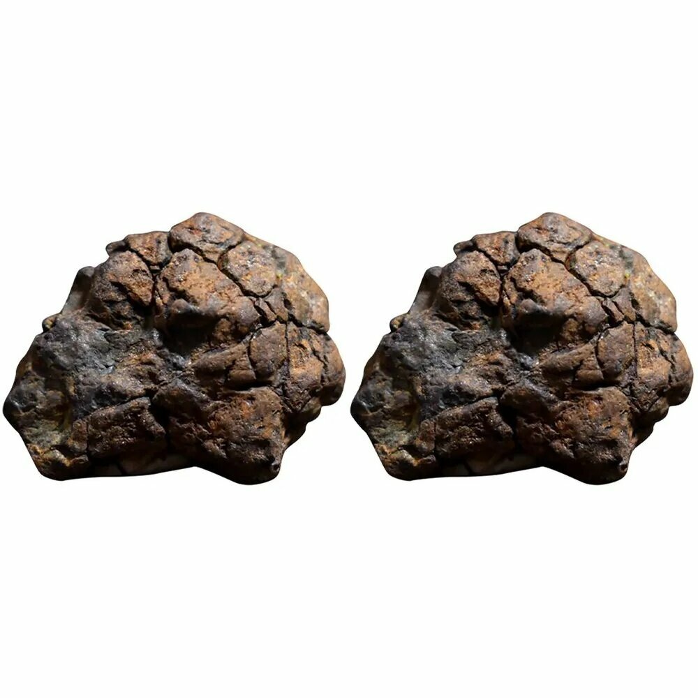 Коллекция из 6 литосидеритных метеоритов как украшение и наглядное пособие