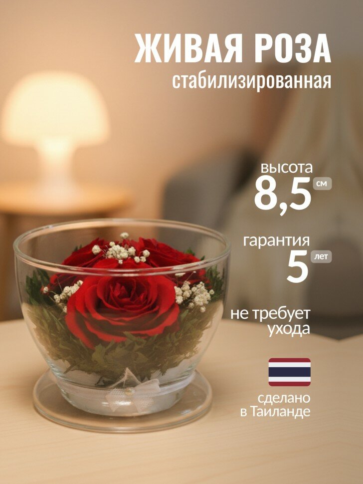 Цветы в стекле розы в колбе стабилизированные живые цветы