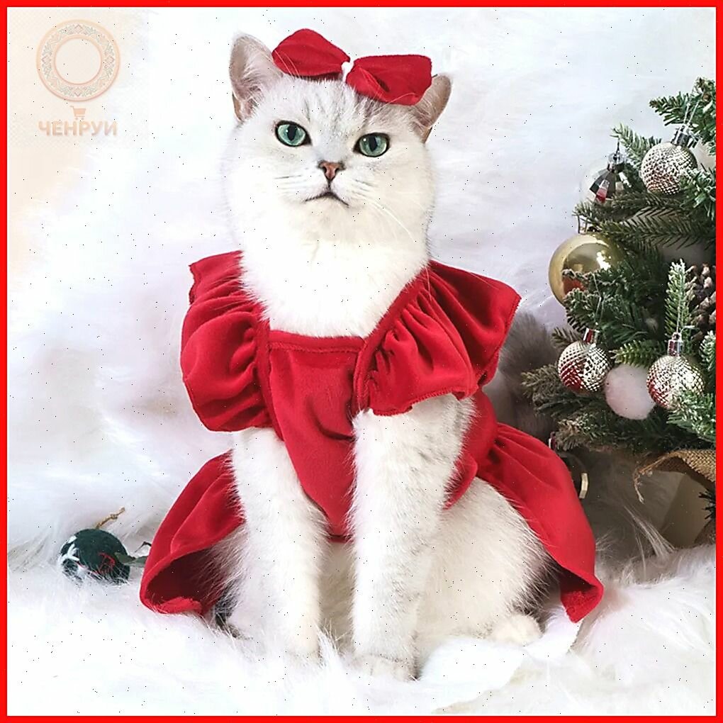 Новогодняя одежда для домашних животных