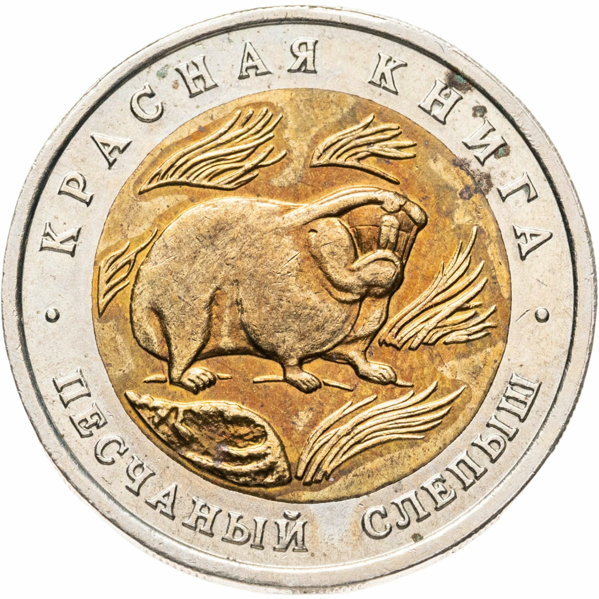 50 рублей 1994 ЛМД Песчаный Слепыш - Красная Книга, Биметалл, в сохранности AU-UNC