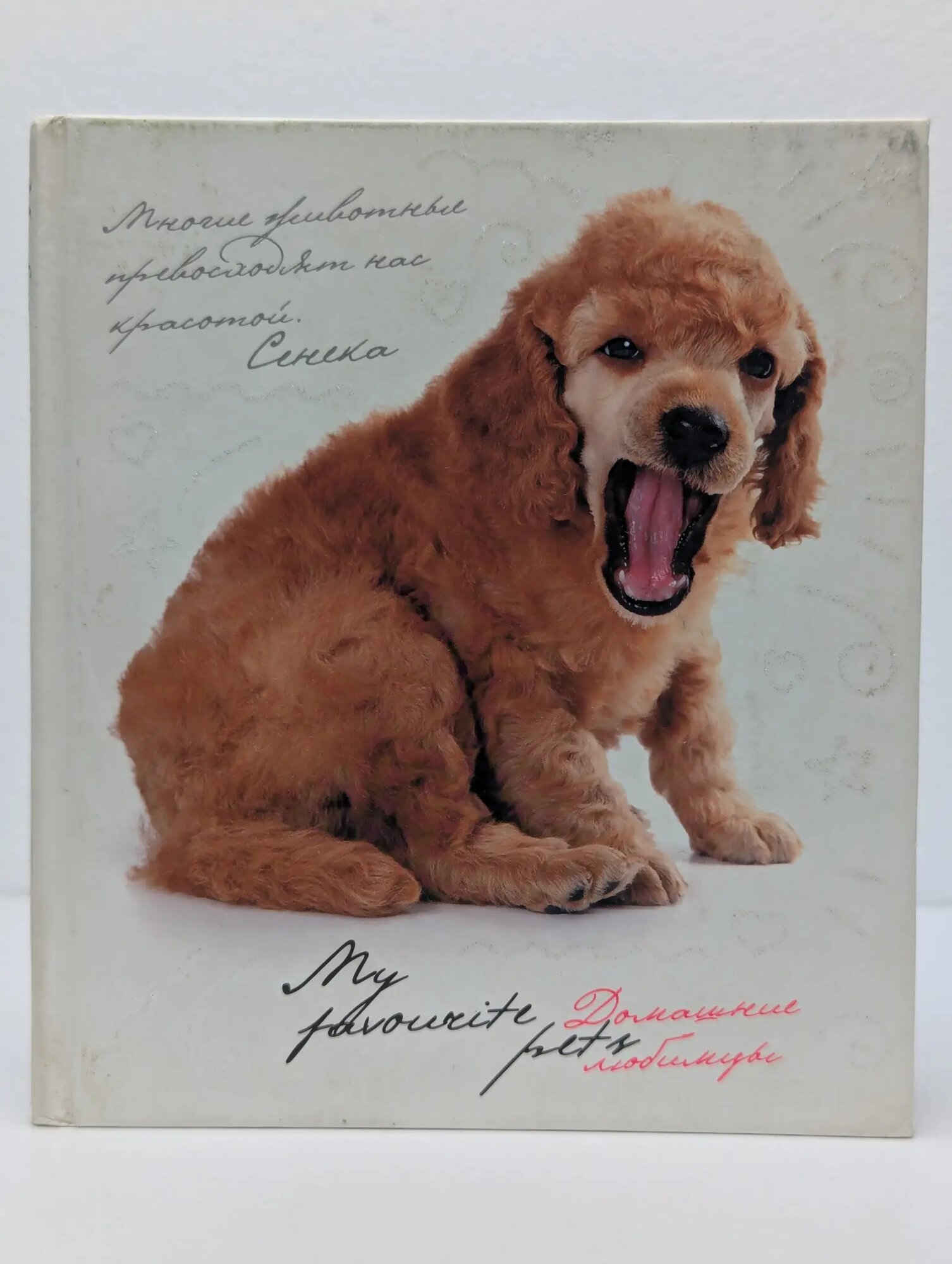Библиотека изображений Фотобанк. My favourite pets. Домашние любимцы Утехина А. М, Владканова О. Б, Синин В. Е. 2006