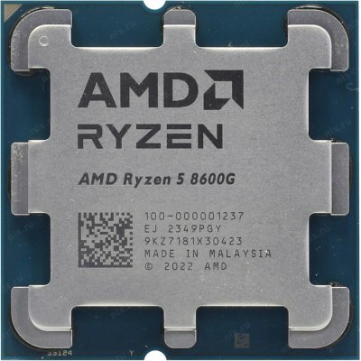 Процессор Ryzen 5 8600G OEM