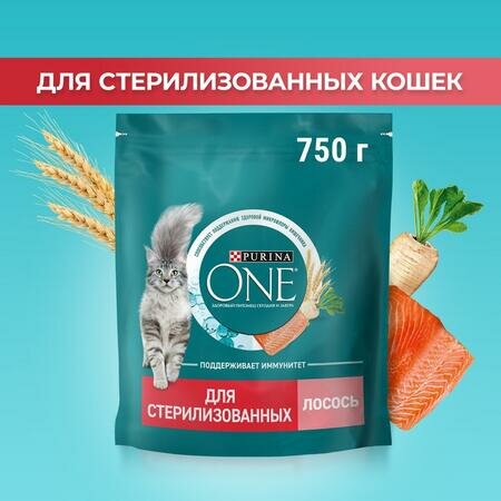 Purina ONE 2 шт по 750 г сухой корм для стерилизованных кошек и кастрированных котов, с высоким содержанием лосося и пшеницей