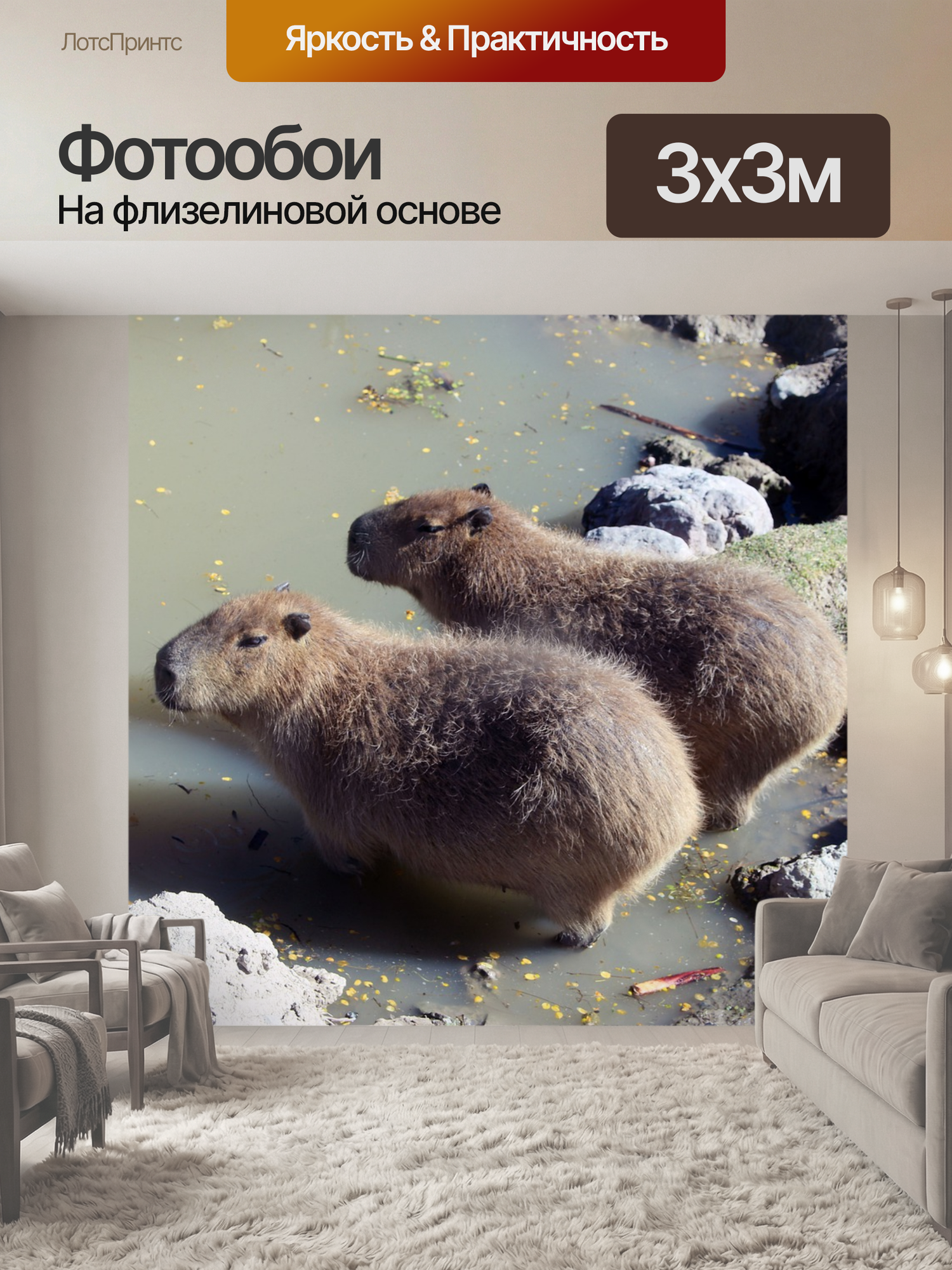 Фотообои "Капибара, животные, зоопарк" 300x300 см. экосольвентная печать