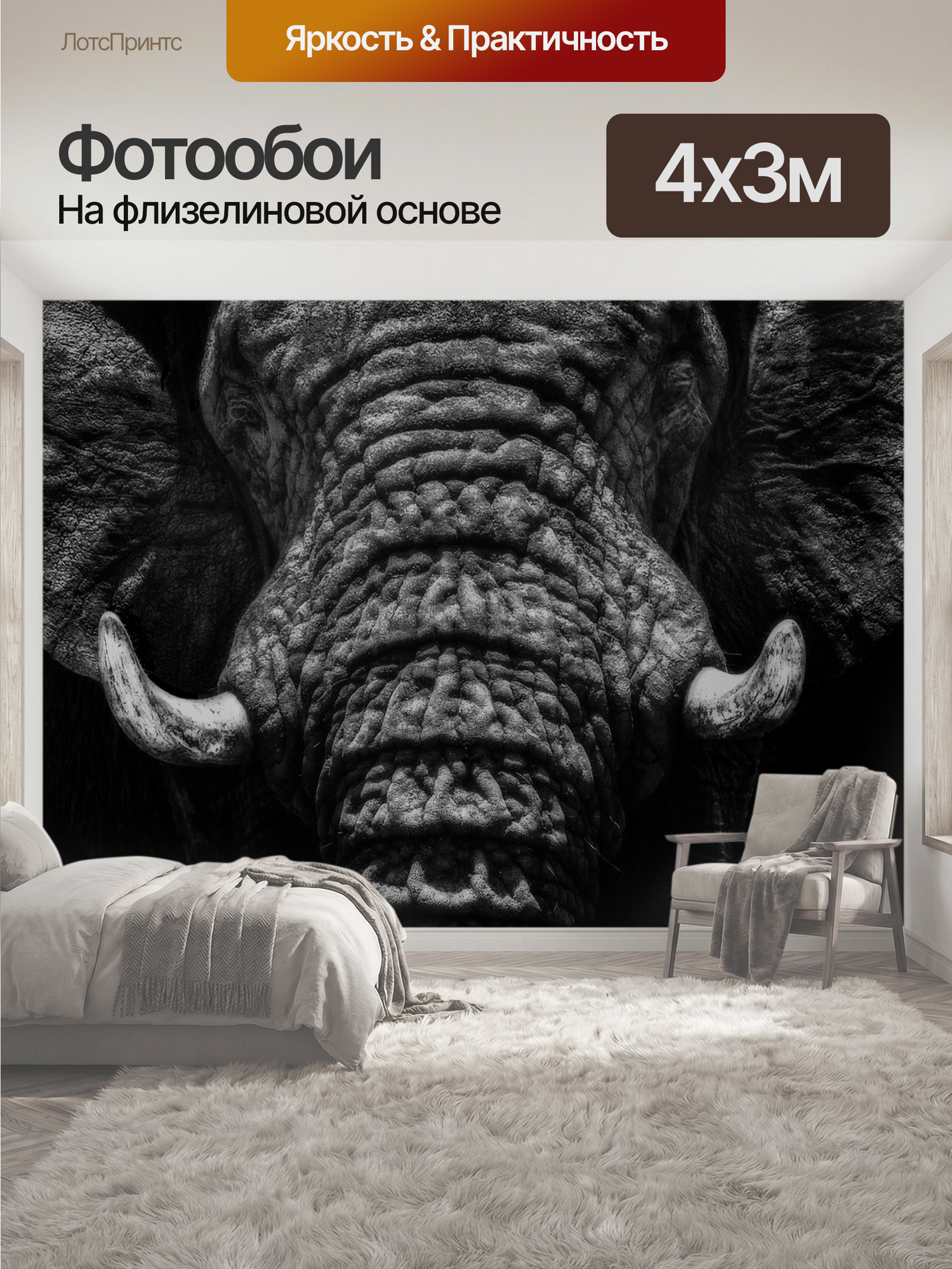 Фотообои "Слон, закрыть, черное и белое" 400x300 см. экосольвентная печать