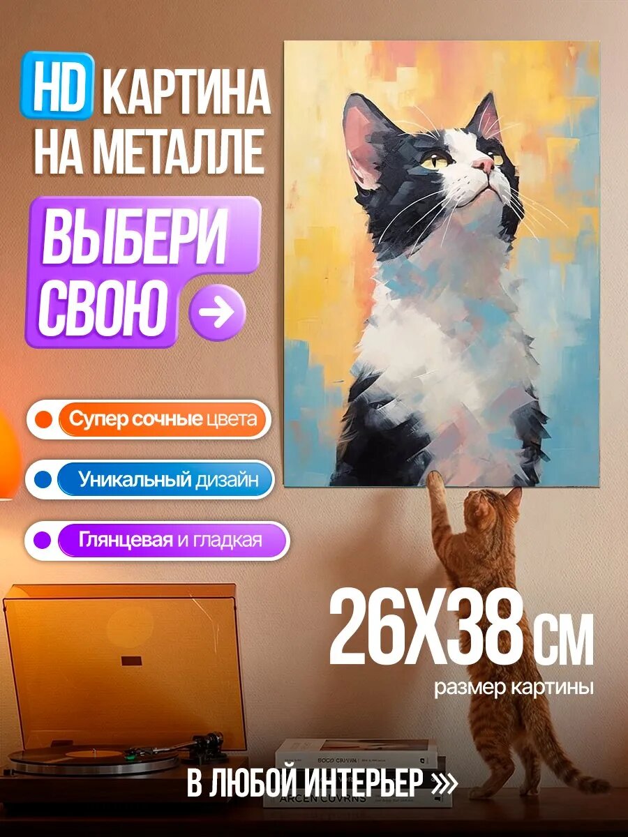 Картина на HD металле Черно-белый кот