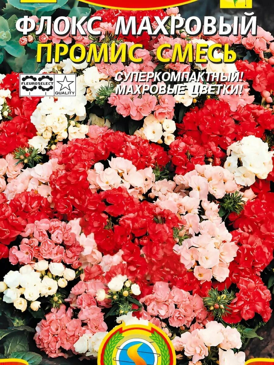 Флокс Промис Смесь махровый 9 шт, Плазменные семена
