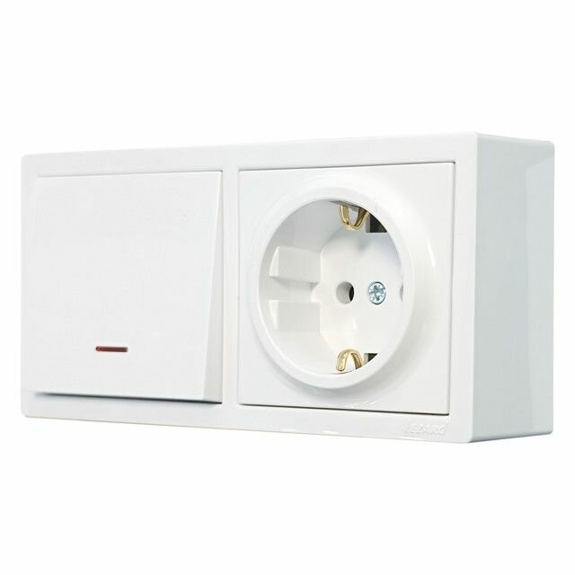Блок выключатель 1-клавишный и розетка Lezard Leto с заземлением, с индикацией, белый