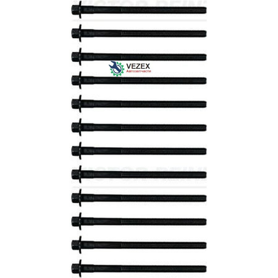 VICTOR REINZ 143230501 к-кт болтов ГБЦ! 12шт.\ Volvo S60/S80/V70/XC70/XC90 2.4 D5244 01>