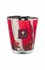 Свеча Woods Max 16 Risoud (1100g) Baobab