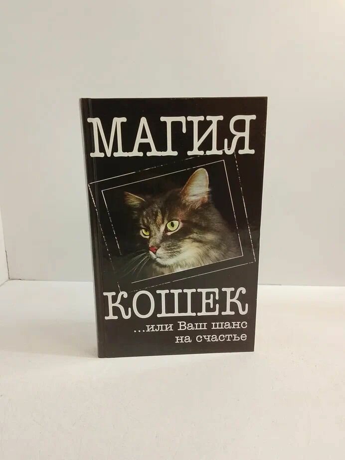 Магия кошек. Или Ваш шанс на счастье
