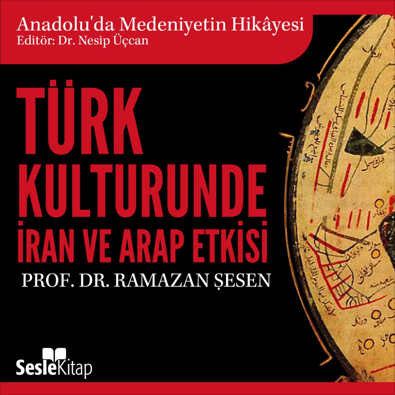 Anadolu'da Medeniyetin Hikayesi 9 - Türk Kültüründe İran ve Arap Etkisi [Аудиокнига]