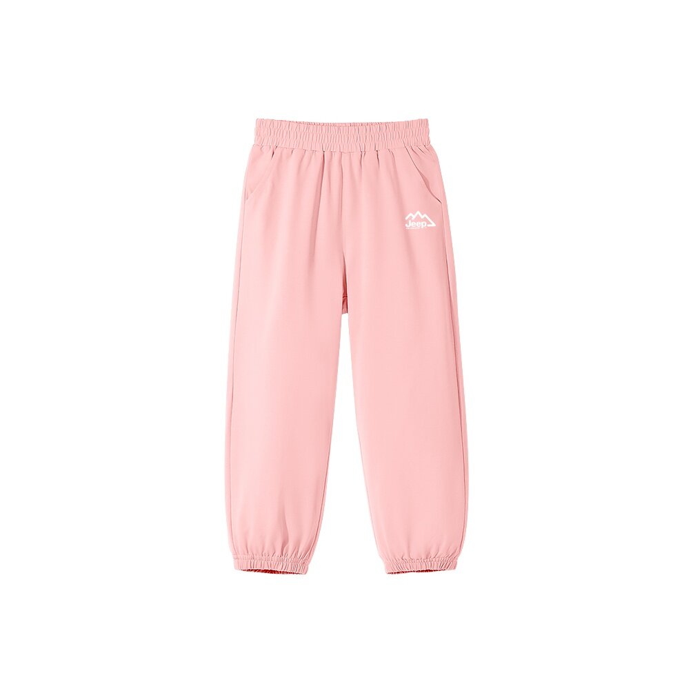 Брюки спортивные