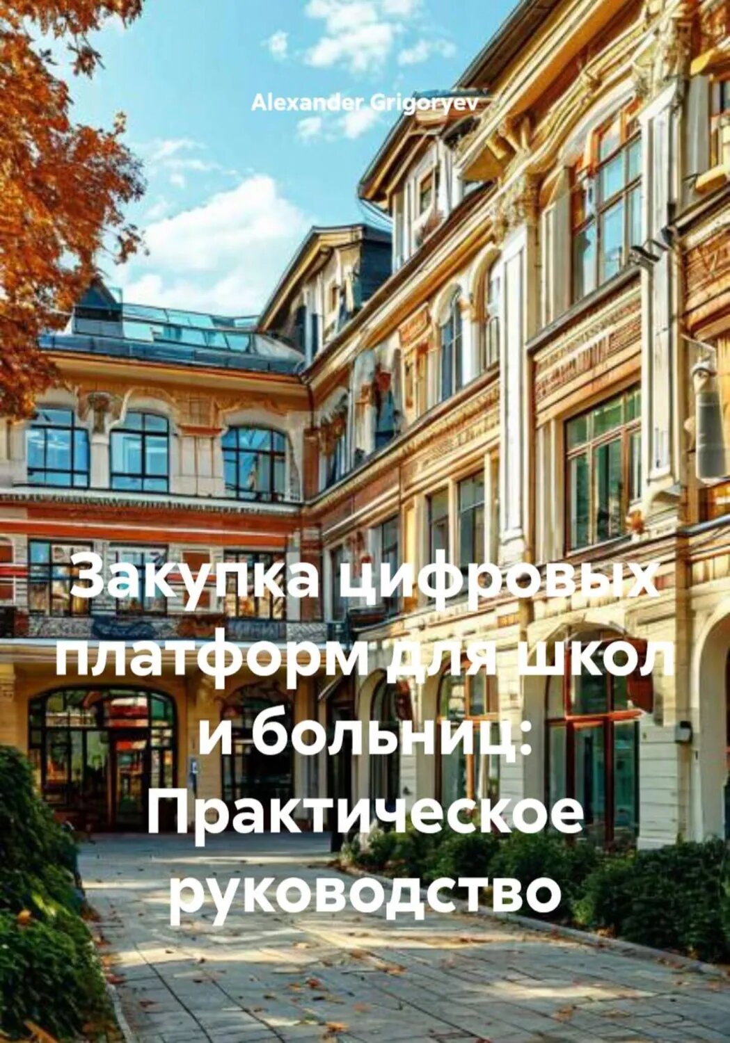 Закупка цифровых платформ для школ и больниц: Практическое руководство [Цифровая книга]