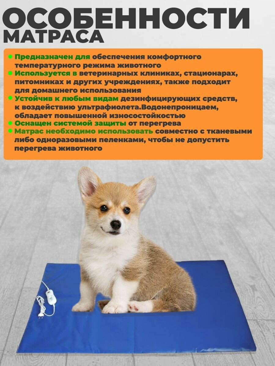 Цена что надо — фото 1