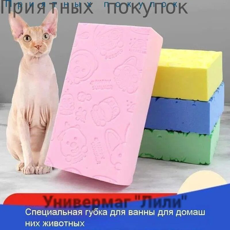 Губка