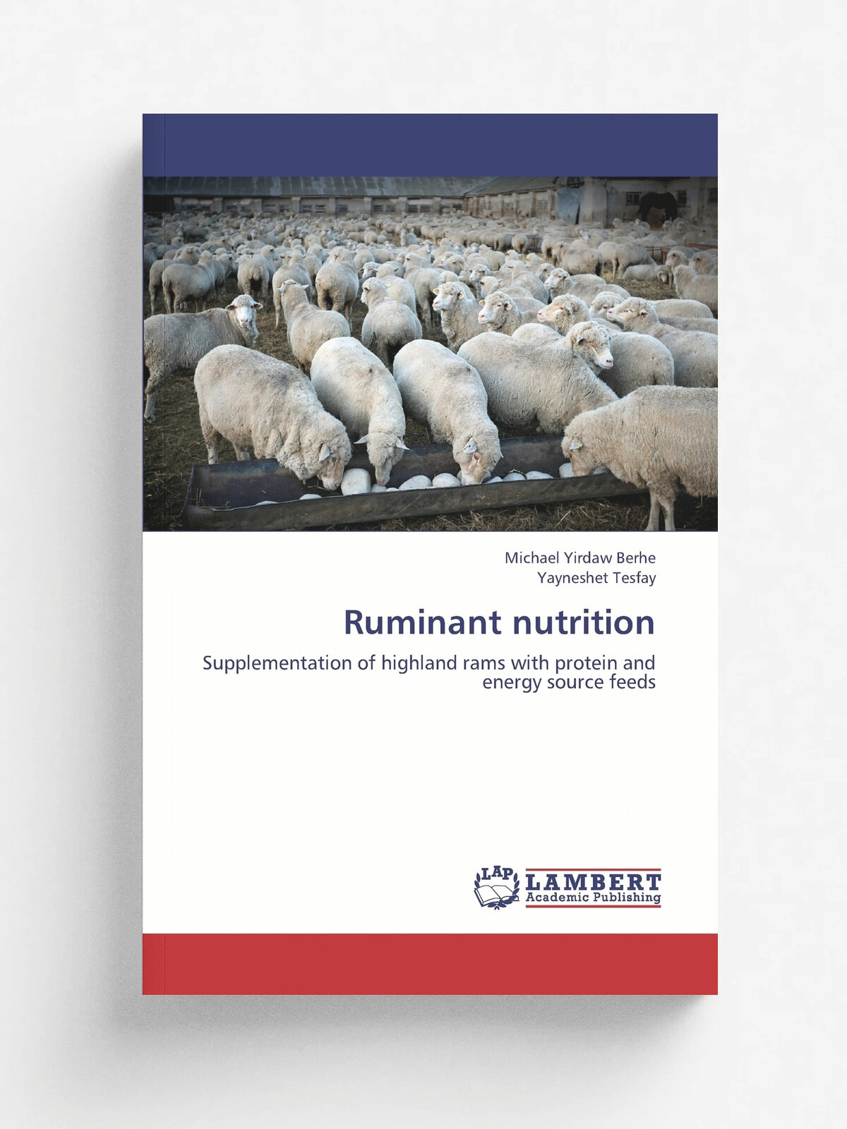 Ruminant Nutrition