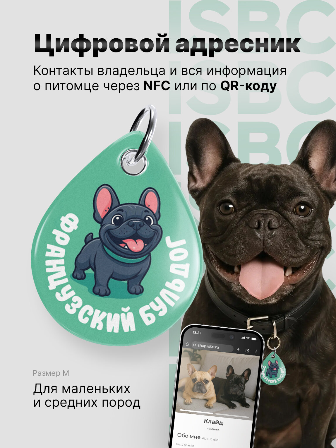Цифровой Адресник для собак от ISBC с NFC и QR-кодом, Французский бульдог, черный