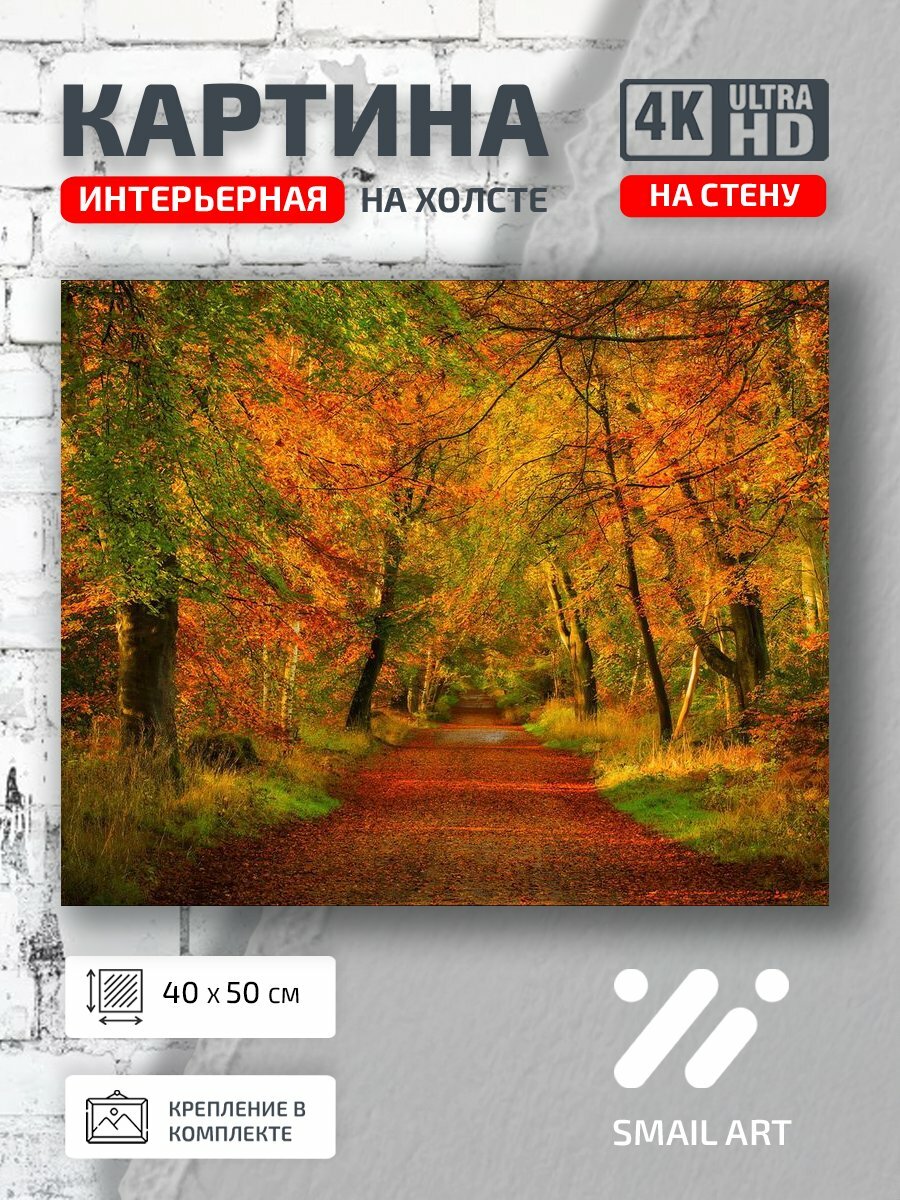 Картина на холсте интерьерная 40 на 50 на стену Дорога Landscape для гостиной пейзаж декор