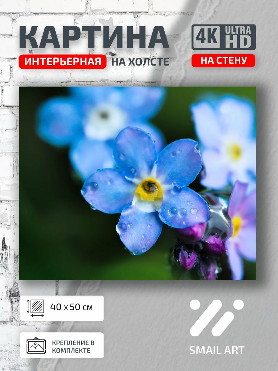 Картина на холсте интерьерная 40 на 50 на стену Роса Mood для кабинета атмосфера интерьер