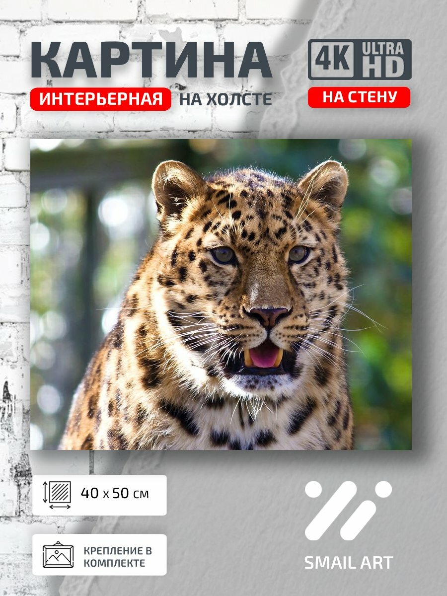 Картина на холсте интерьерная 40 на 50 на стену Леопард leopard для гостиной пейзаж декор
