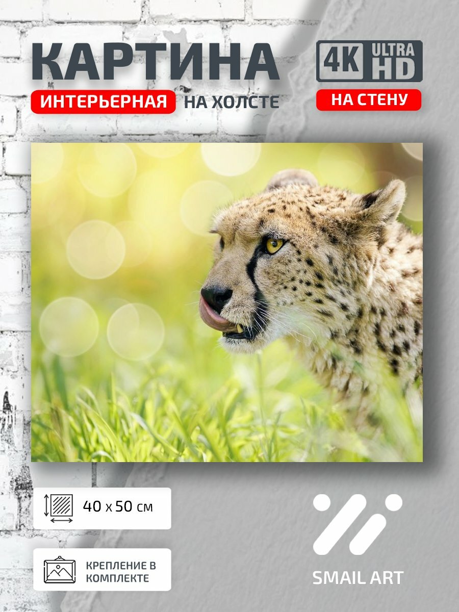 Картина на холсте интерьерная 40 на 50 на стену Боке Mood для офиса атмосфера интерьер