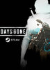 Days Gone - лицензионный ключ для активации в Steam (PC)