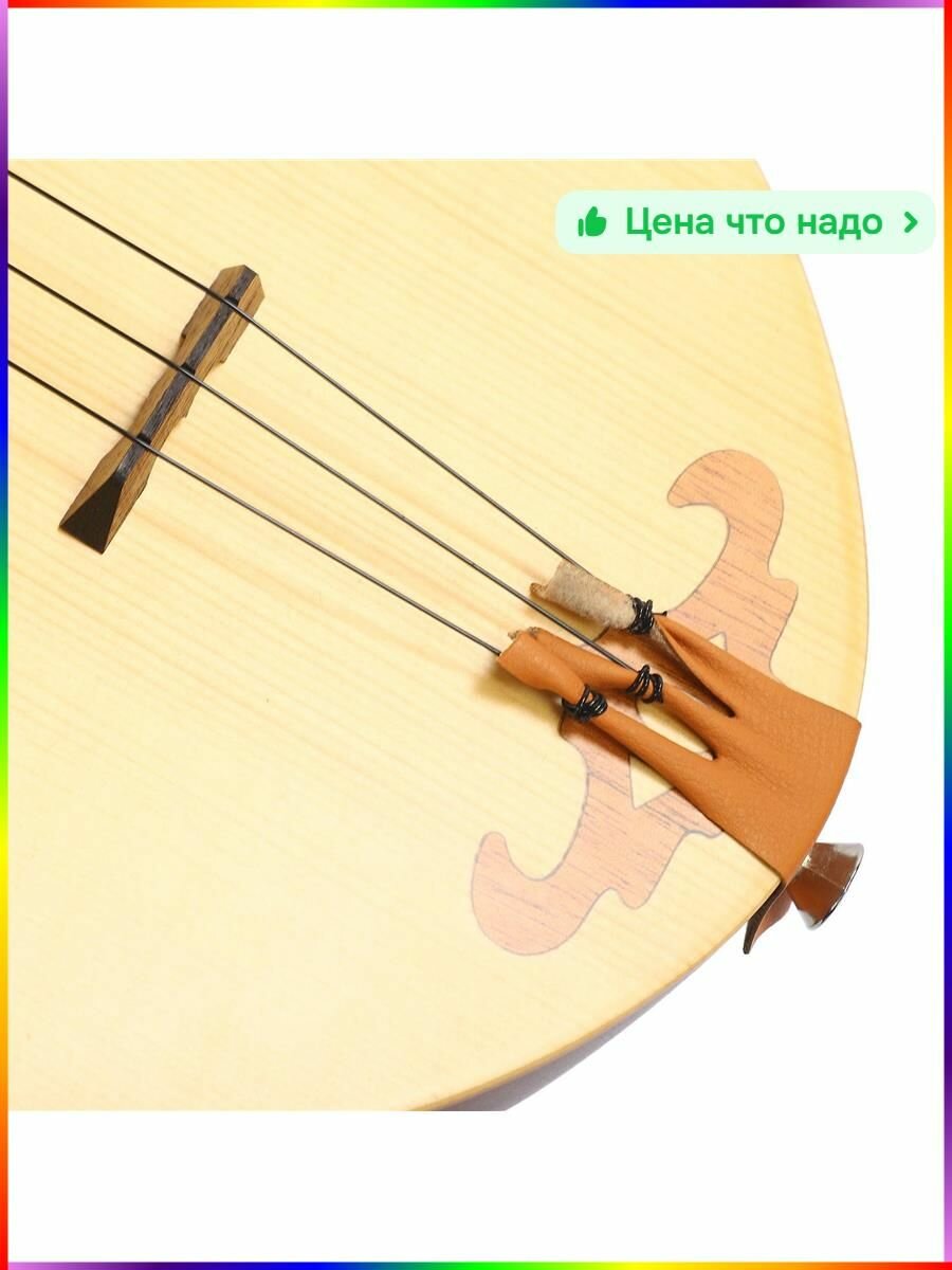 Струнный инструмент — фото 1