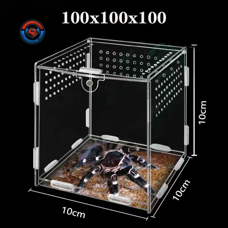 Прозрачный акриловый террариум с магнитной крышкой, разборный дом для рептилий, пауков, улиток и насекомых, удобный уход и обзор