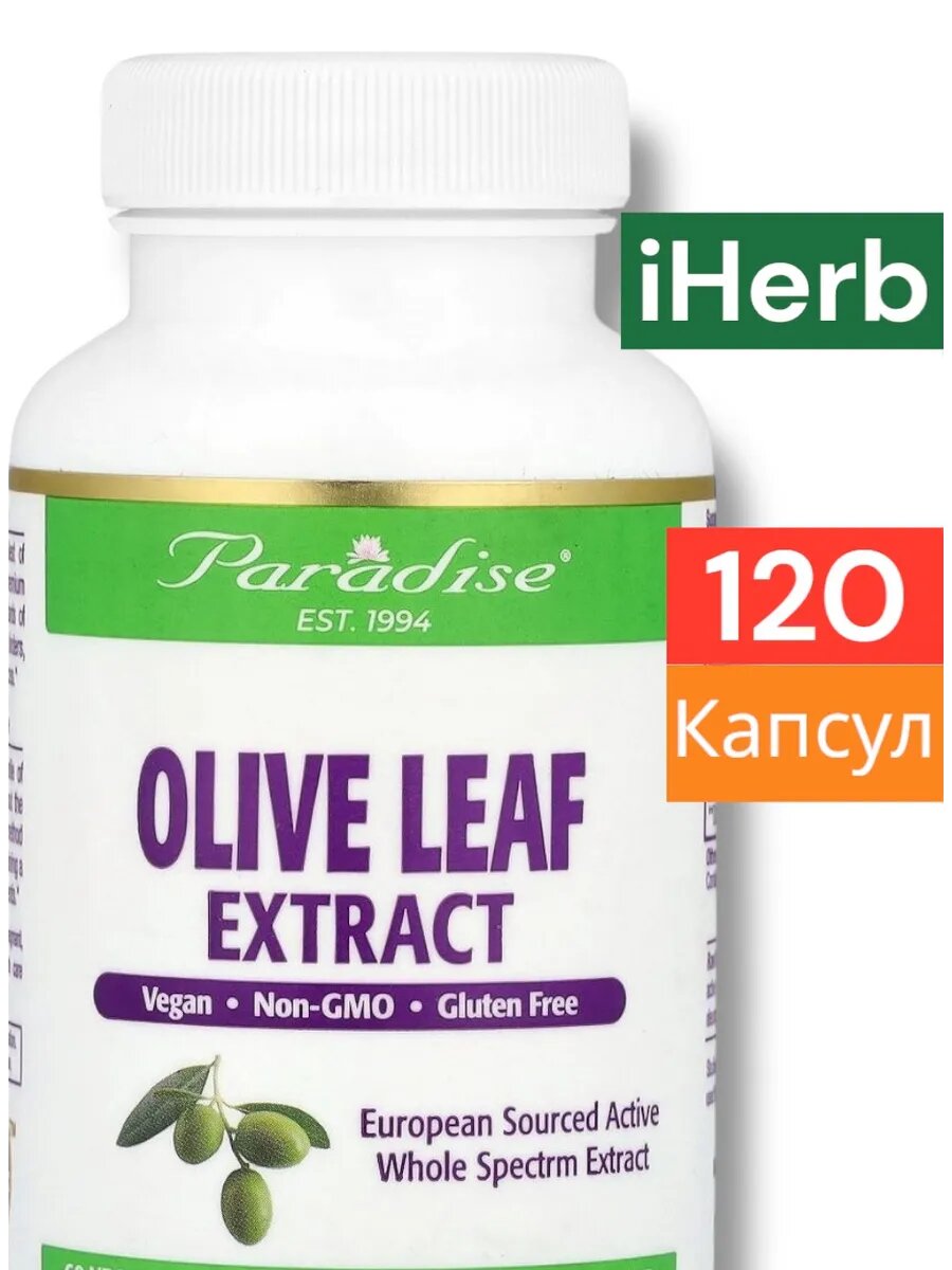 Листья оливкового дерева