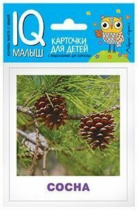 Книга "Умный малыш. Деревья"