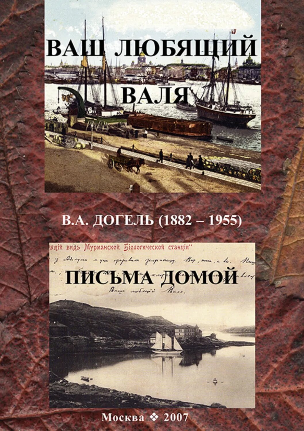 Ваш любящий Валя. В. А. Догель (1882–1955). Письма домой [Цифровая книга]