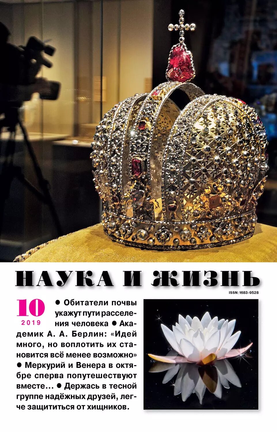 Наука и жизнь №10/2019 [Цифровая книга]