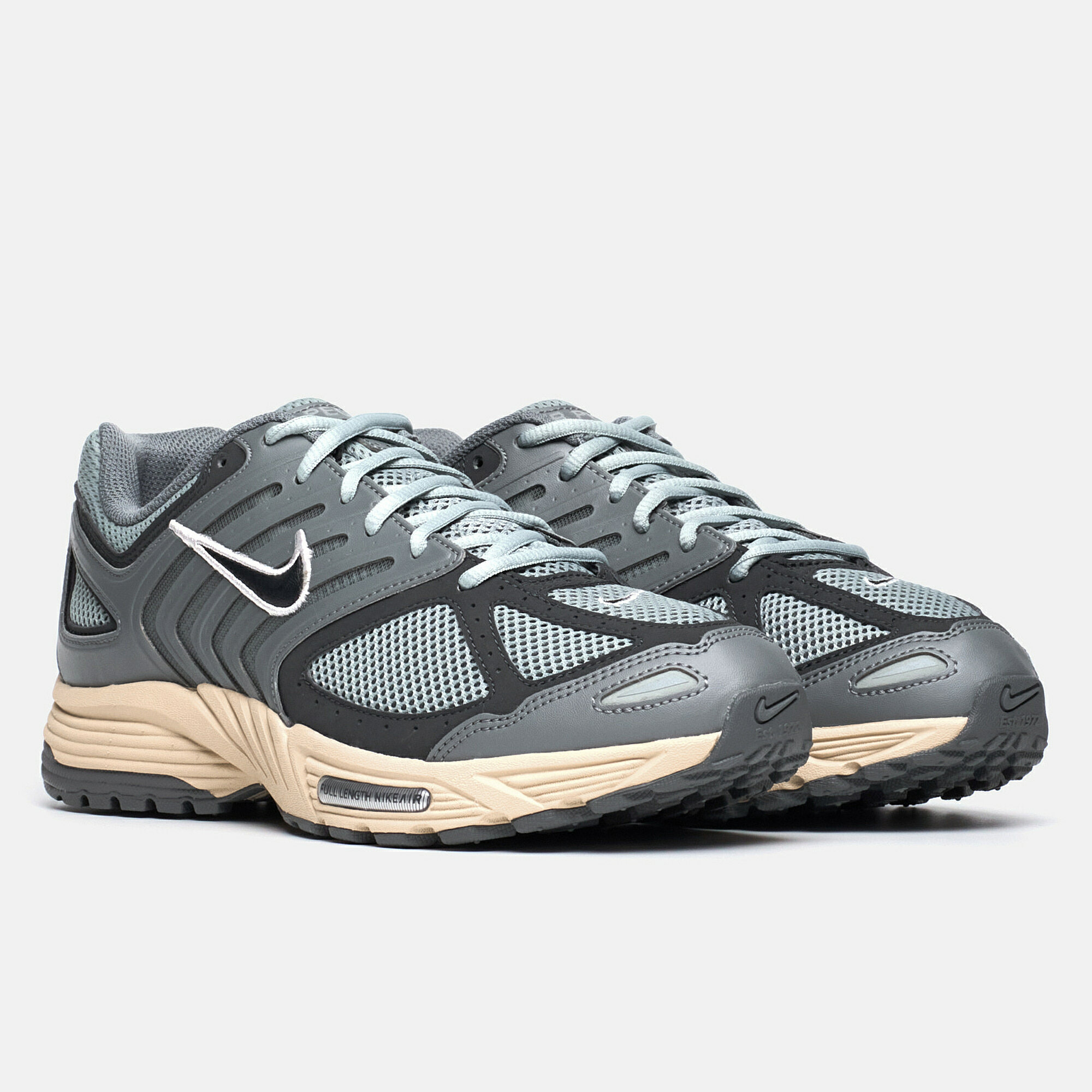 Кроссовки air pegasus 2005