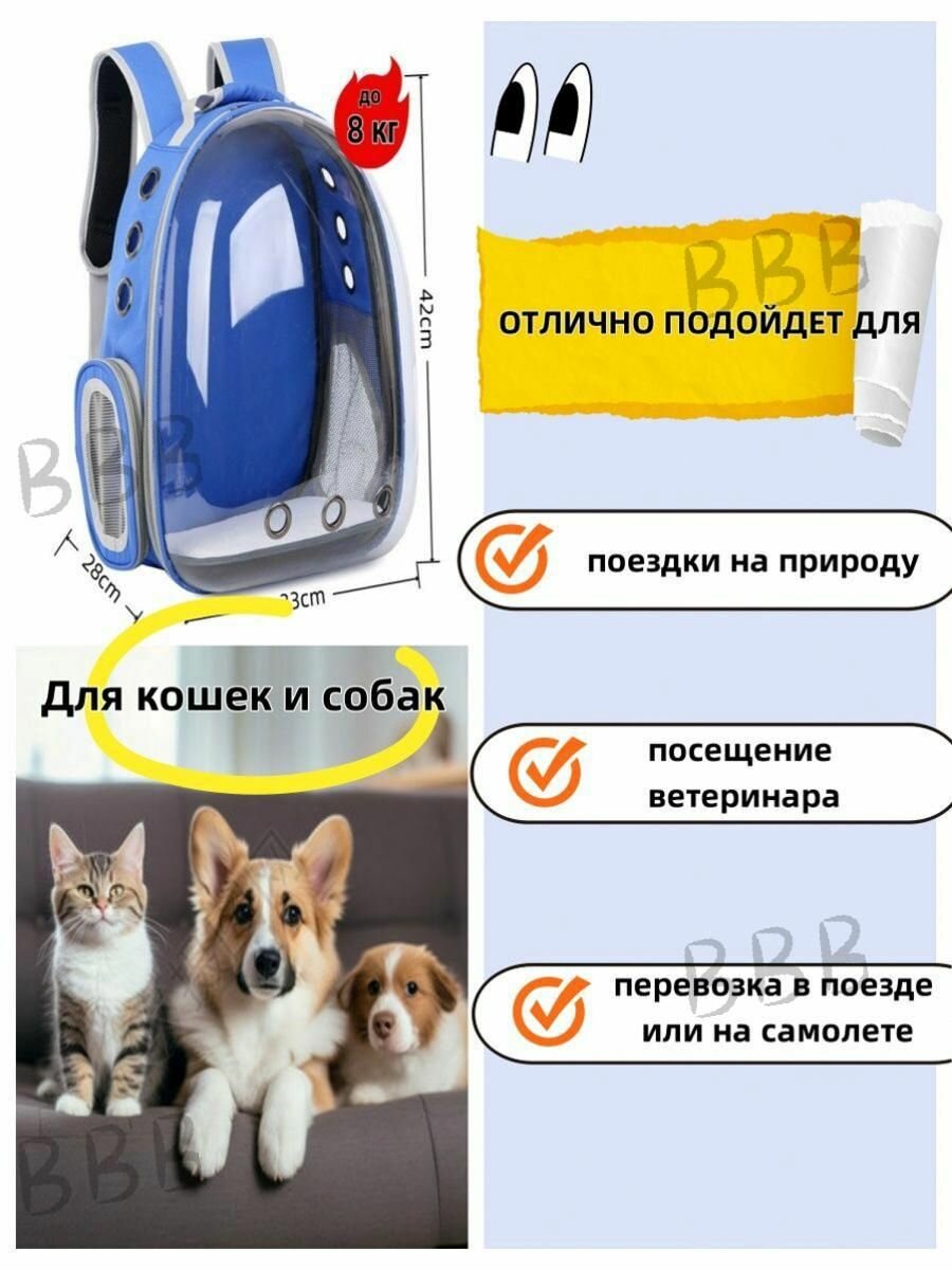 Рюкзак для домашних животных