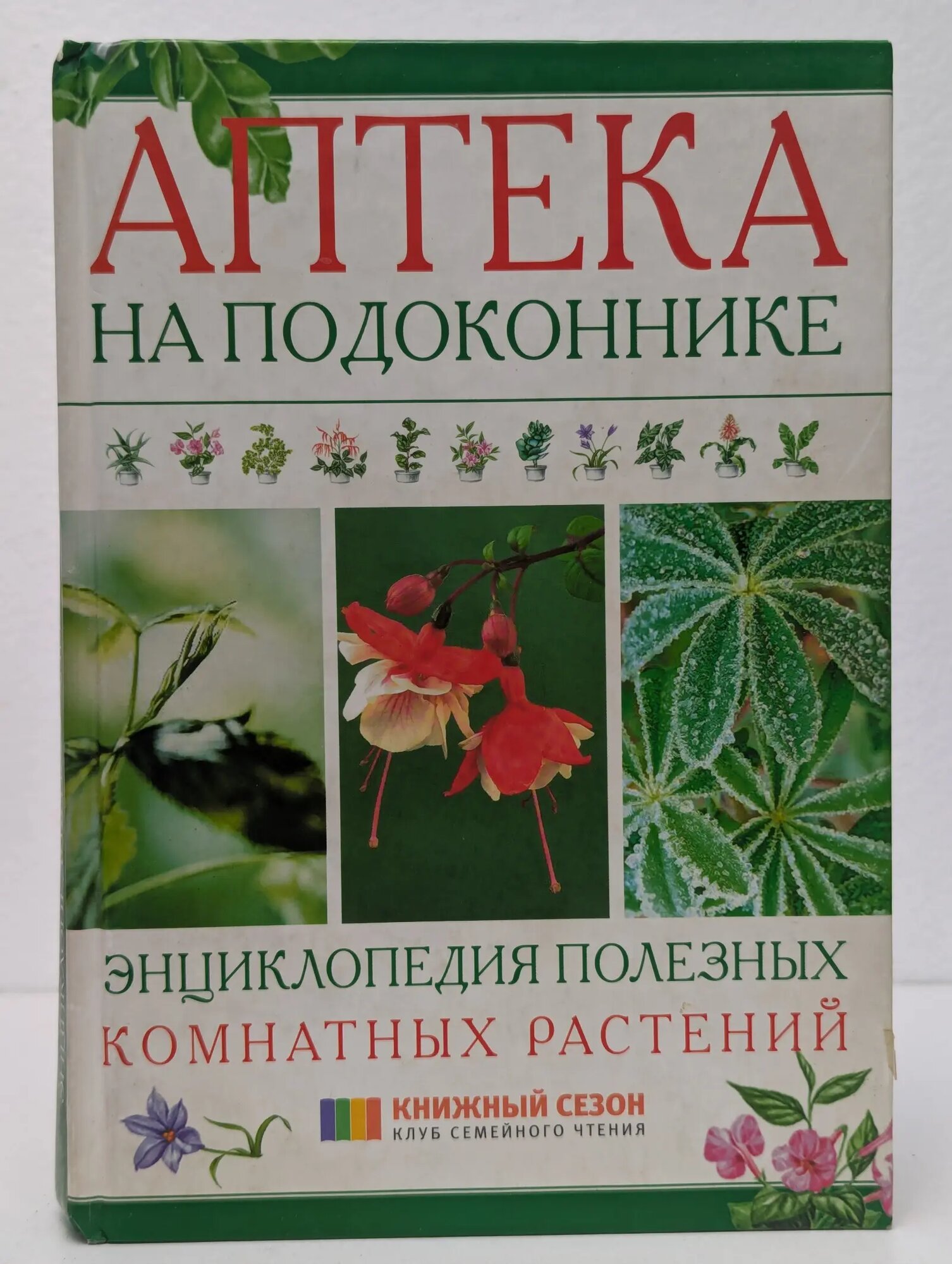 Аптека на подоконнике. Энциклопедия полезных комнатных растений. Блейз Анна Иосифовна 2006