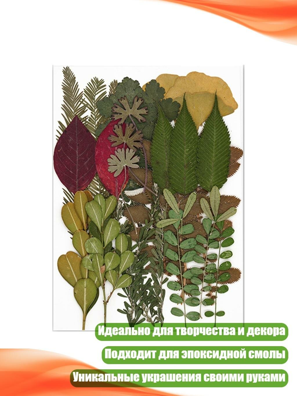 30 шт. Высушенные цветочные листья для ремесленных украшений, - ряд деревьев