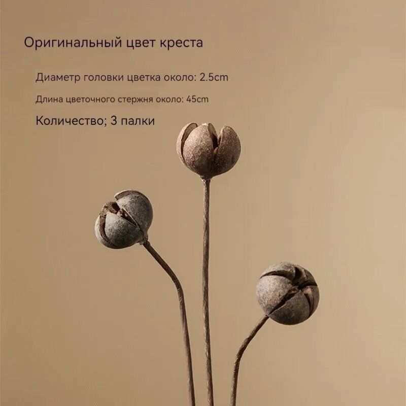 Сухоцветы, 40 см, 100 гр, 3 шт