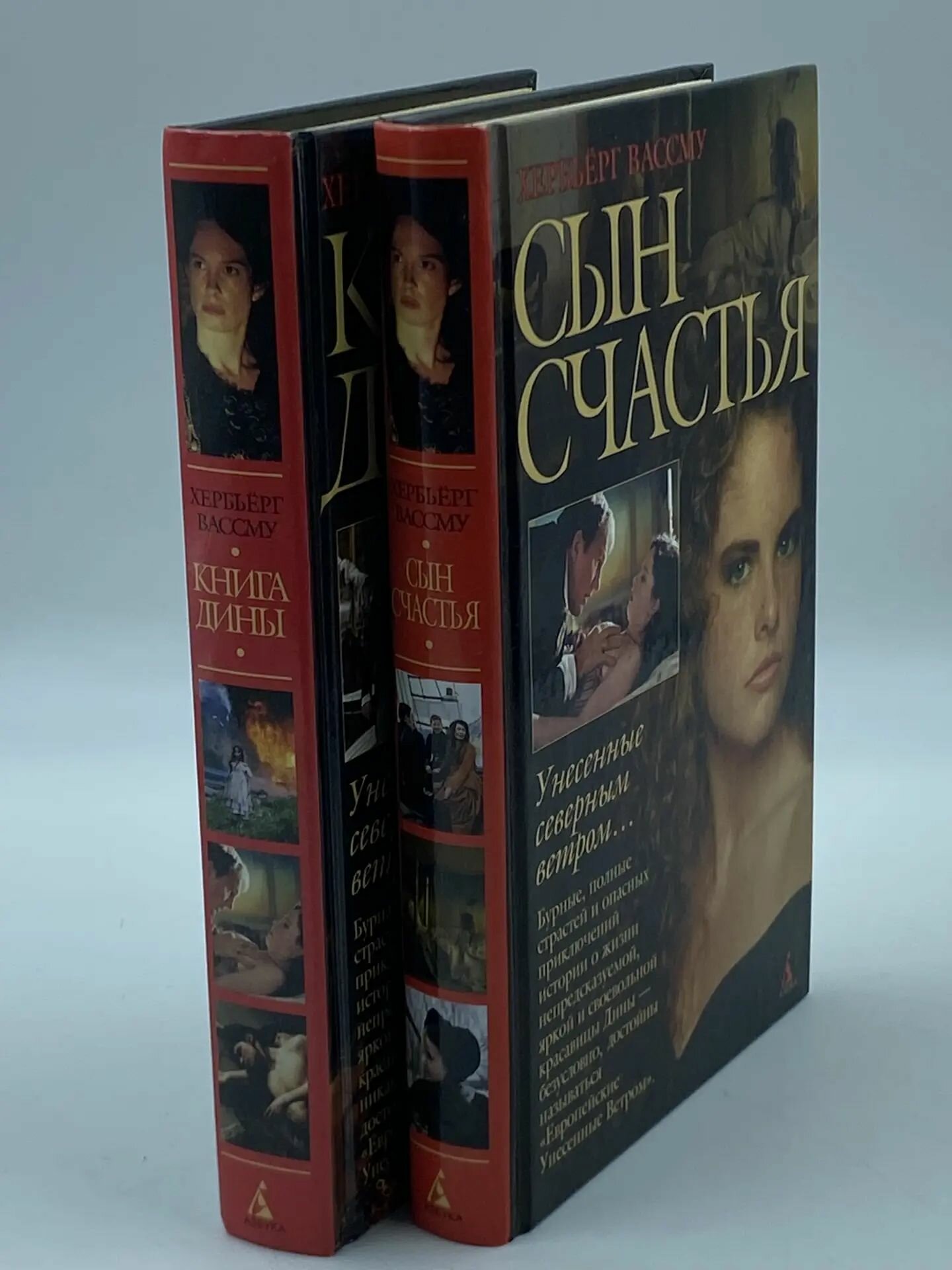 Сын счастья / Книга Дины (комплект из 2 книг)